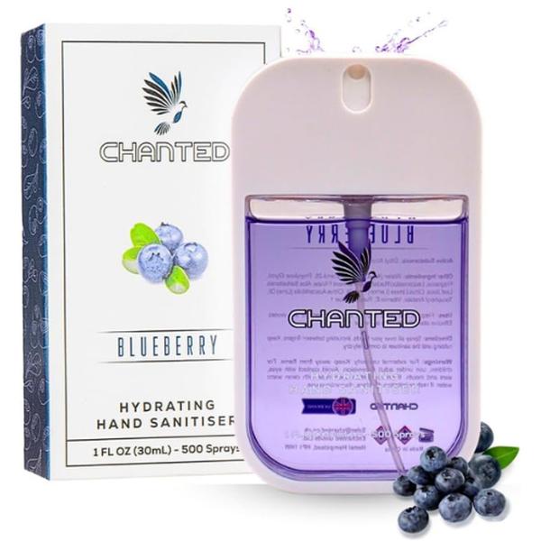 Chanted Mini Hydrating Hand Sanitiser Spray | Travel size 30ml ...